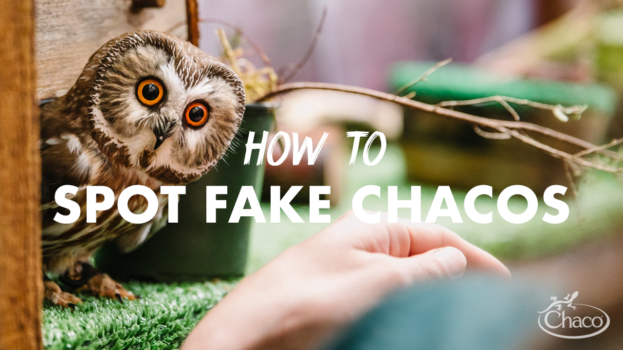 How to Spot Fake Chacos – Chaco Guidebook