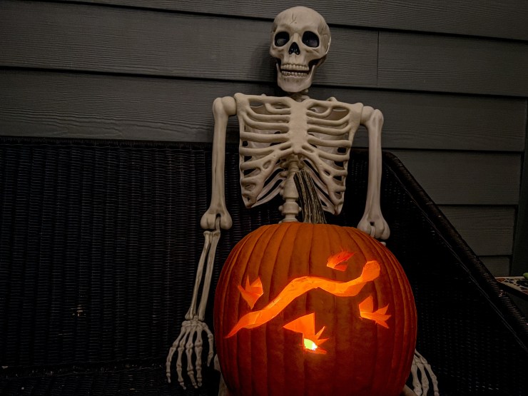 Chaco Guidebook – Your go-to guide to the outdoor life